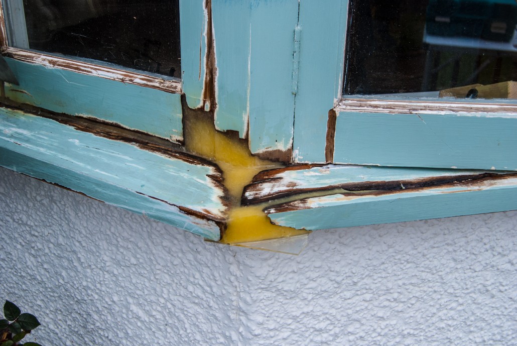 Sash Windows Wiltshire | Sash Window Restorer Experts